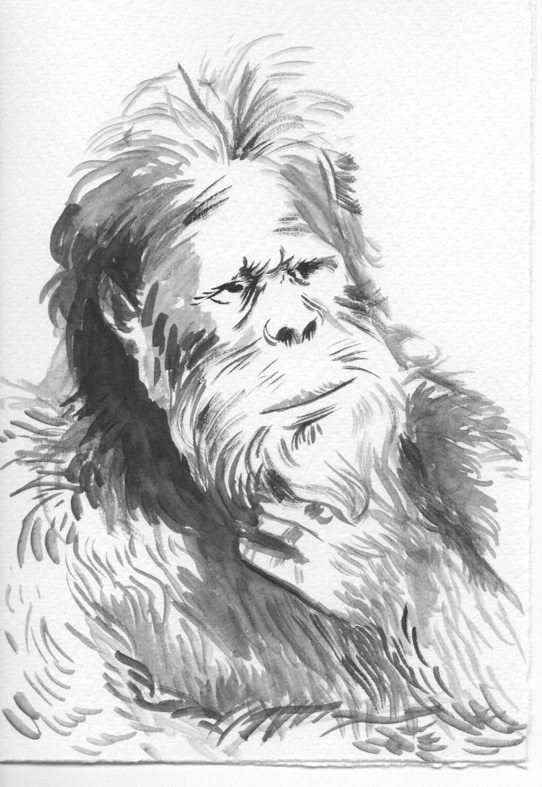 El sasquatch – Leyendas de los Mirdalirs